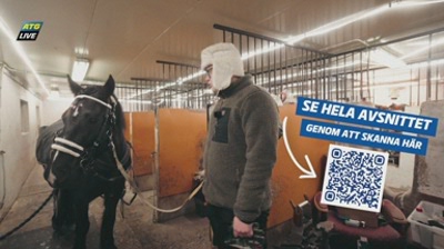 Alla tipsprogram | ATG