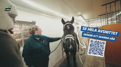 Alla tipsprogram | ATG