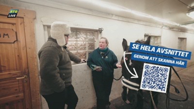 Spela V85 – Startlista, tips och alla sätt att spela | ATG | ATG